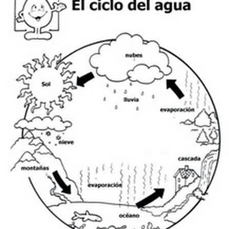 El Ciclo del Agua Hojas de trabajo Clave de respuestas - Educational ...